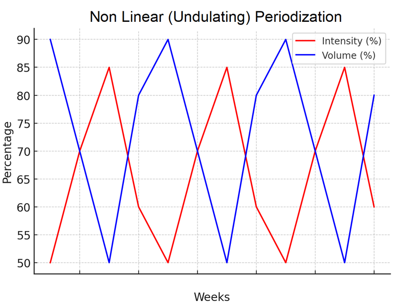 Models of Training Periodization - Matrix Endurance