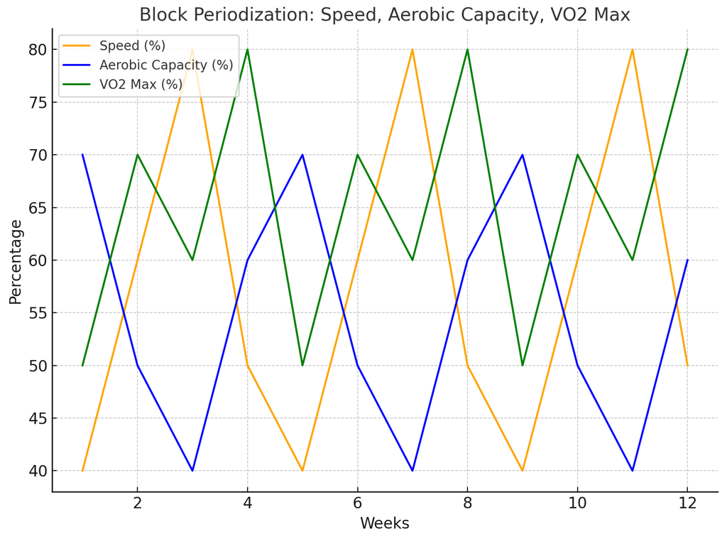 Models of Training Periodization - Matrix Endurance